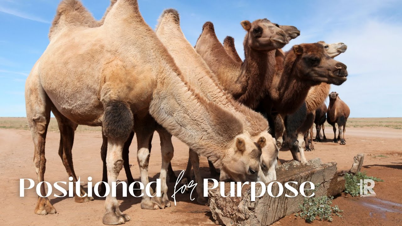 Positioned for Purpose (Aug 16, 2023) - YouTube