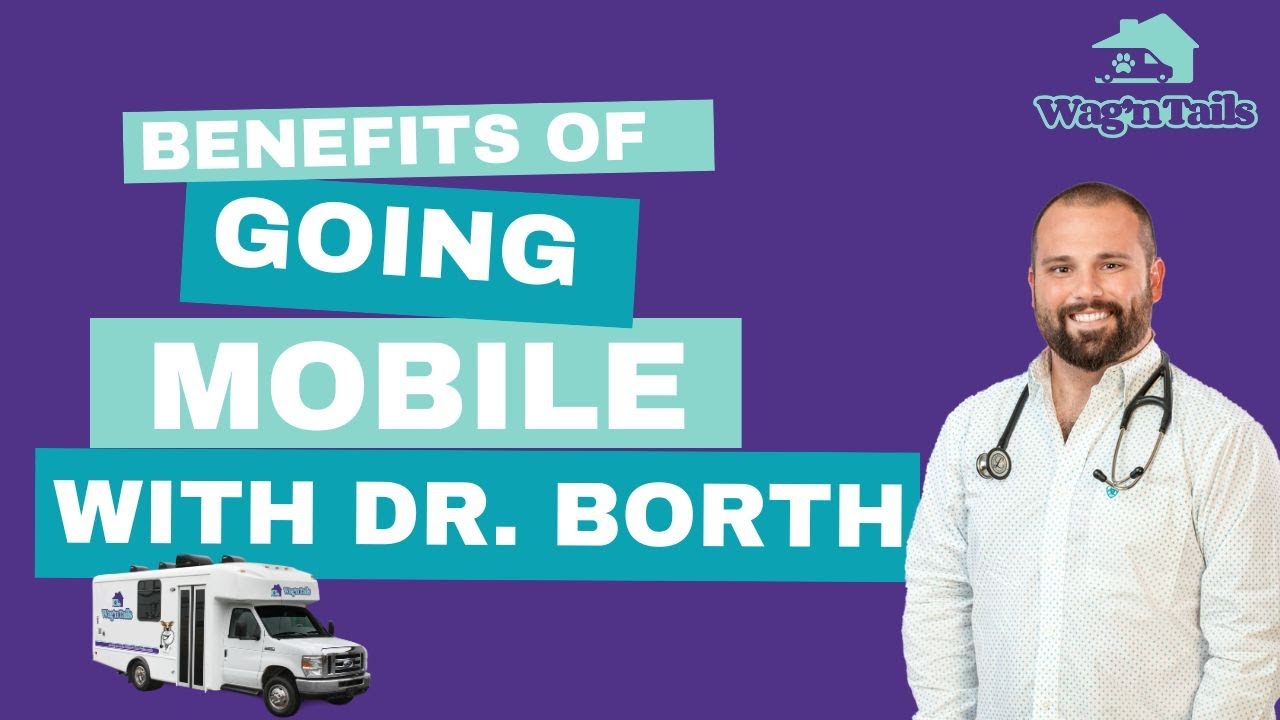 Benefits of Going Mobile - with Dr. Dustin Borth - YouTube