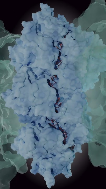 Spiral virus binding RNA #science #protein #blender - YouTube
