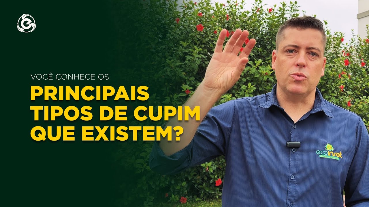 Você conhece os principais tipos de cupim que existem? - YouTube