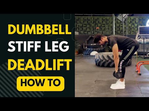 How to do Dumbbell Stiff Leg Deadlift or RDL the correct way (Perfect ...