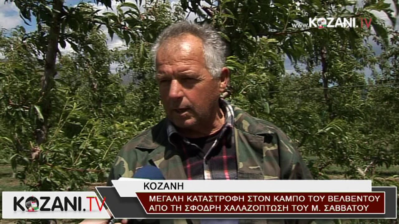 Μεγάλη η καταστροφή από το χαλάζι στο Βελβεντό - YouTube