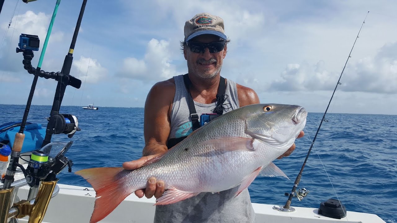 HUGE Mutton Snapper while Fishing for Yellowtail Snapper (Catch and ...