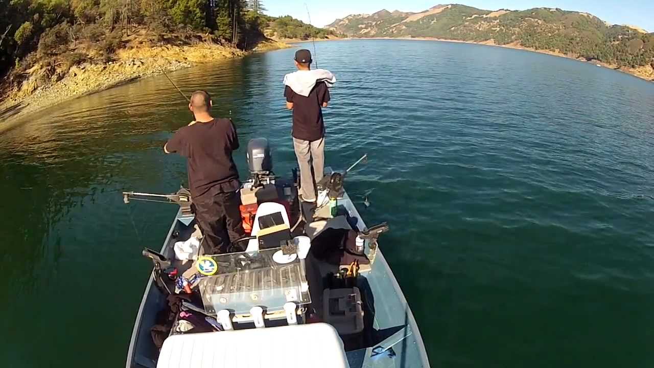 Fishing For Steelhead & Bass Lake Sonoma, California - YouTube