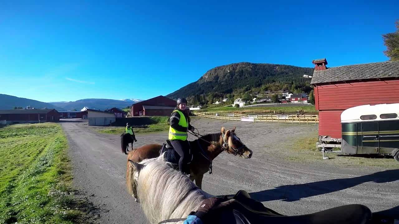 Nye Voss VGS Galopp på utebanen - YouTube