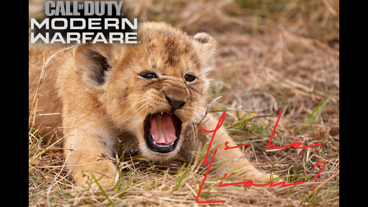 Cod:Warzone Funny Moments Is it a Horse or is he Lion? - YouTube