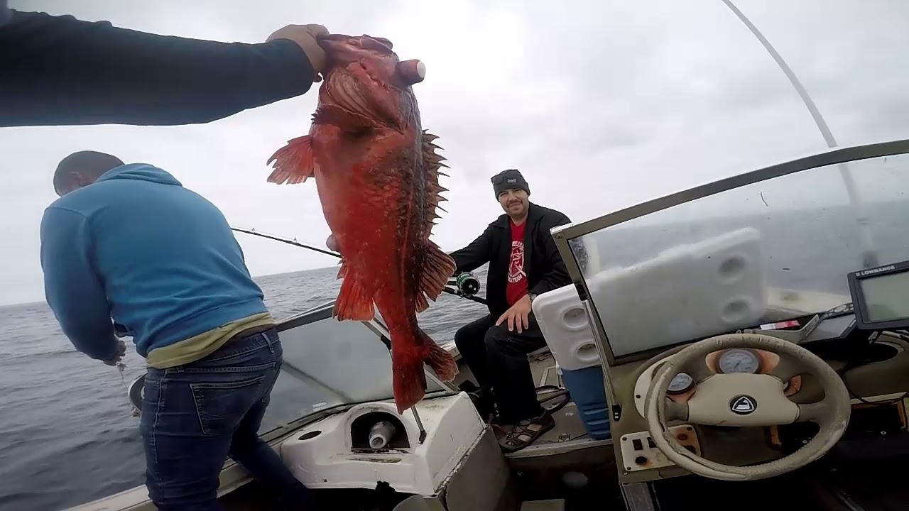 Pesca de rockot en la salina - YouTube