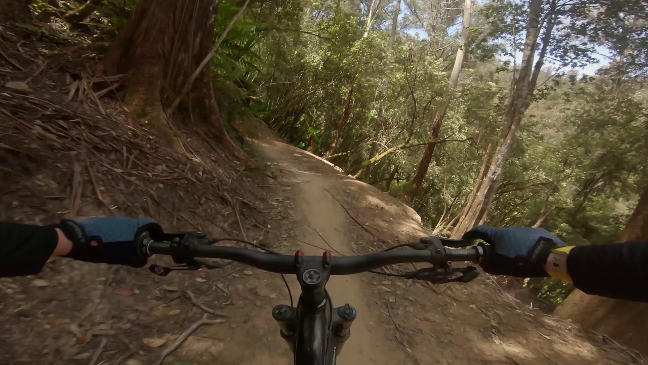 Coming to terms with The Local - Maydena Bike Park - YouTube
