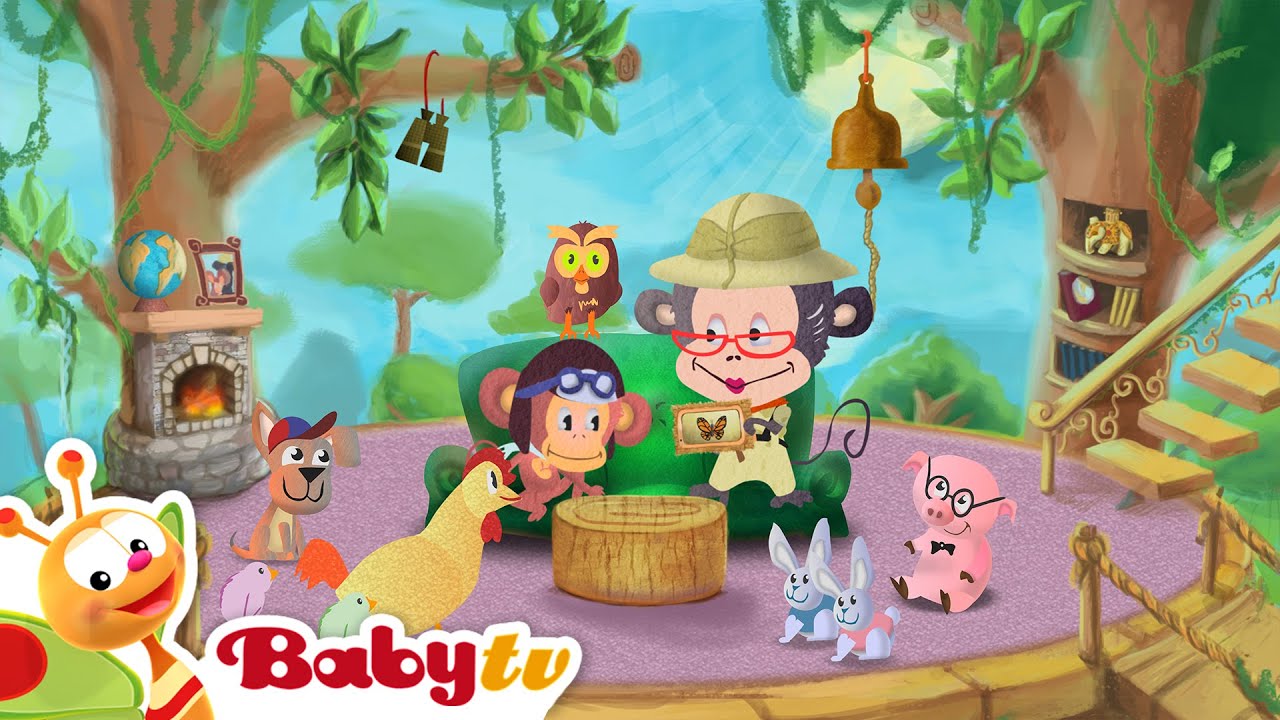 Cat 😺 | Riddle Games With Animals | Animal for Kids @BabyTV - YouTube