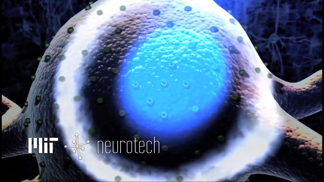 Neurotech 6: Light Activated Neurons (Optogenetics with Ed Boyden ...