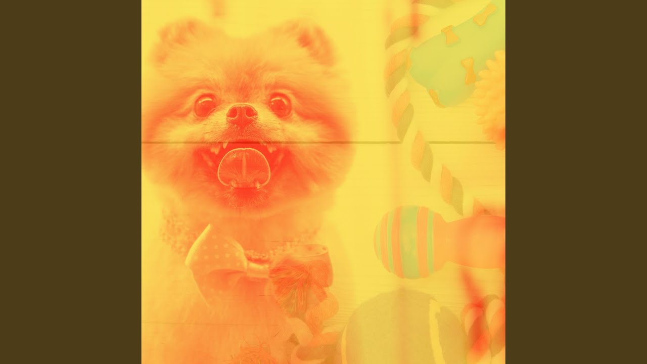 Delightful Cello Music - Vibe for Doggy Playtime - YouTube
