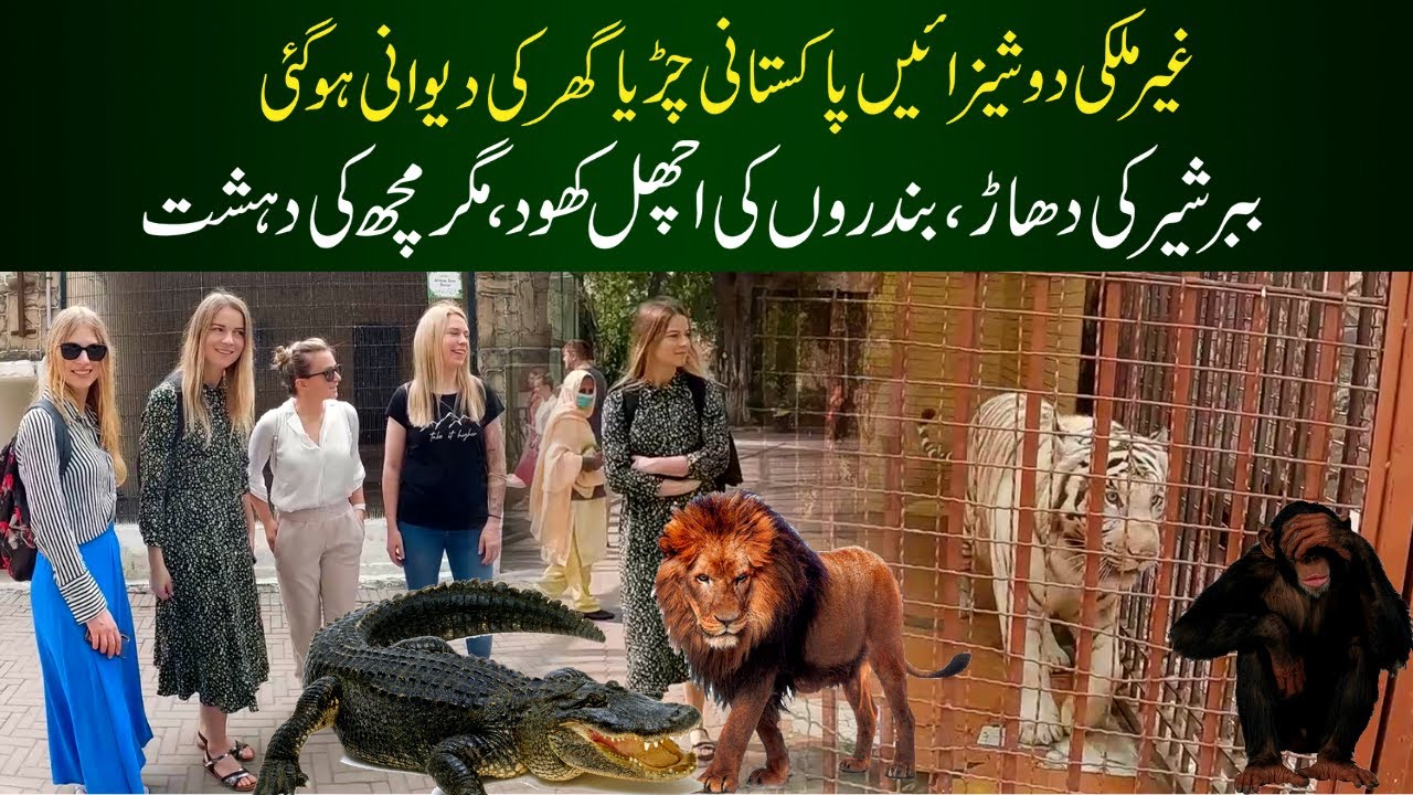Pakistan Biggest ZOO | Biggest ZOO Tour | Lahore Zoo Tour - YouTube