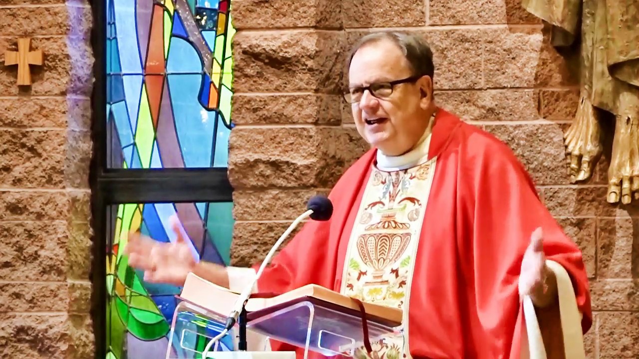 Fr. Tom Thorne Exhorts That By Our Baptism We Are "All Sent" To Be ...