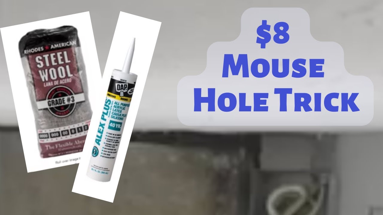 Save $300 with this easy $8 Mice Hole Filler Tip - YouTube