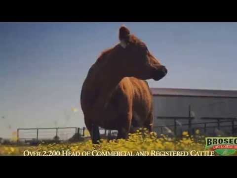 Broseco Ranch - YouTube