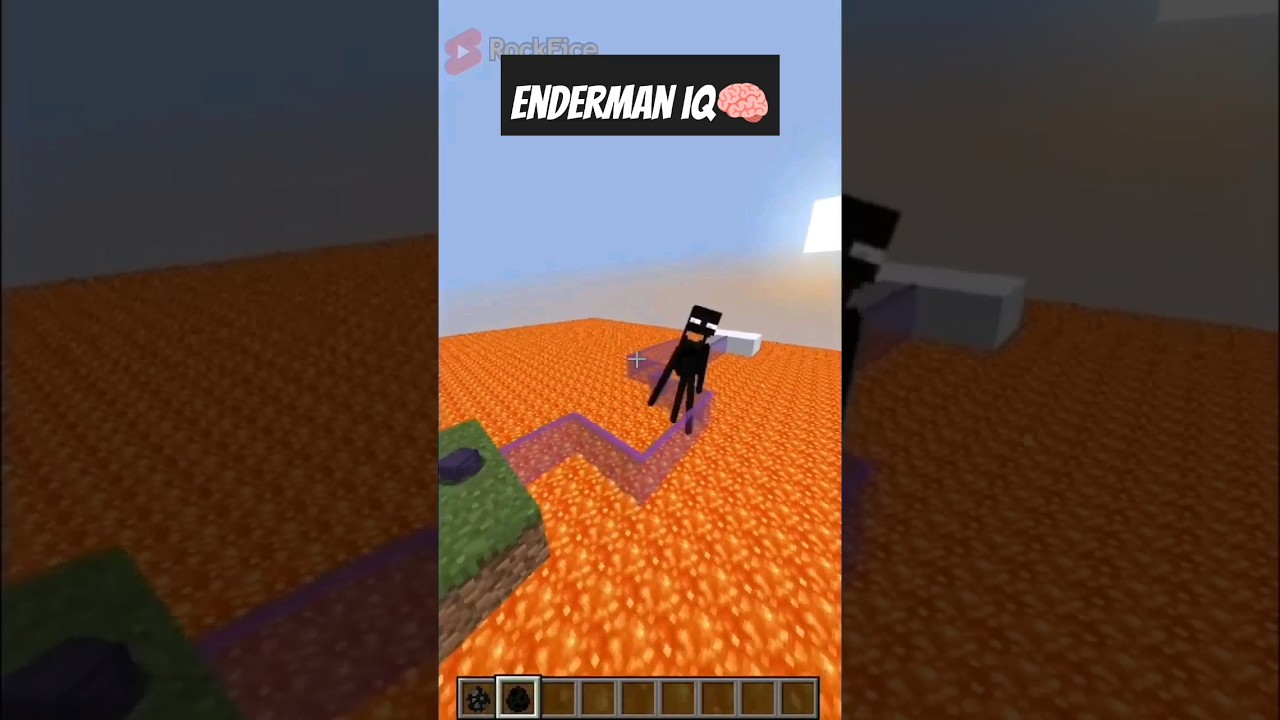 Enderman test IQ 🧠😂🤯 #viral #minecraft - YouTube
