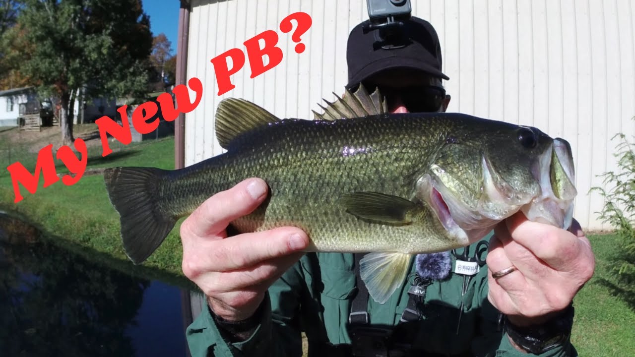 My Continuing Quest For My Pb Largemouth Bass Did I Do It Bass Manager The Best Bass