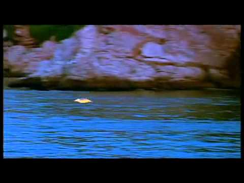 Hasretinle Yandı Gönlüm Edip Akbayram   YouTube