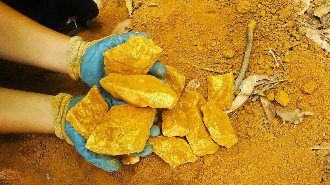 Million-dollar gold metal detector, gold nugget mining, forest treasure ...