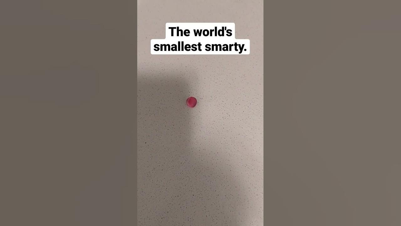 The world's smallest smarty.💕 - YouTube