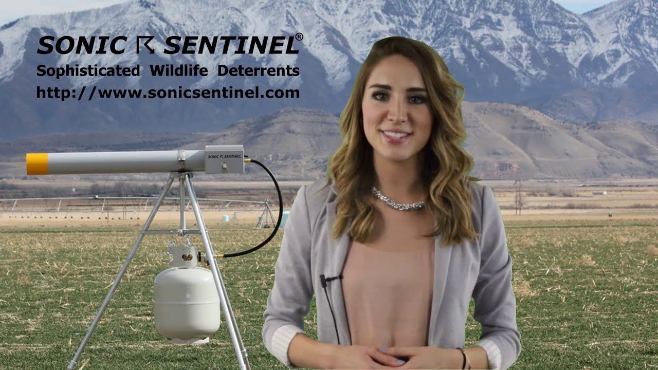 Sonic Sentinel Model 14-1 Propane Sound Cannon - YouTube