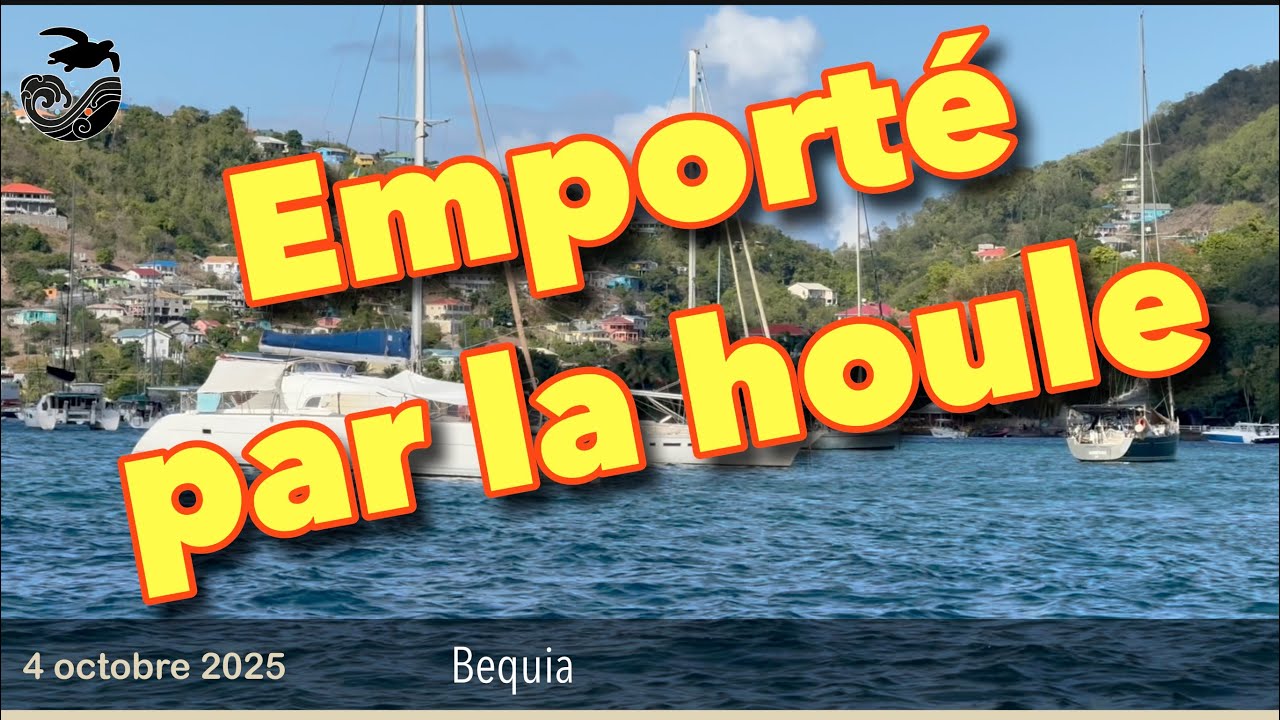 #229 - Belle houle à Princess Margaret Bay - YouTube