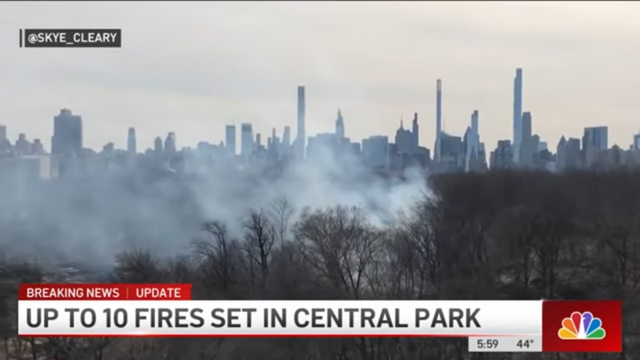 Suspected Arsonist Sets 10 Fires in Central Park - YouTube