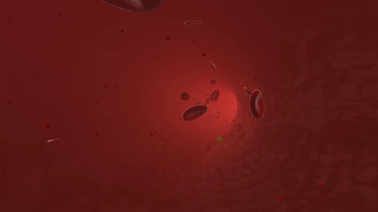 Red Blood Cells 360º VR Animation - YouTube