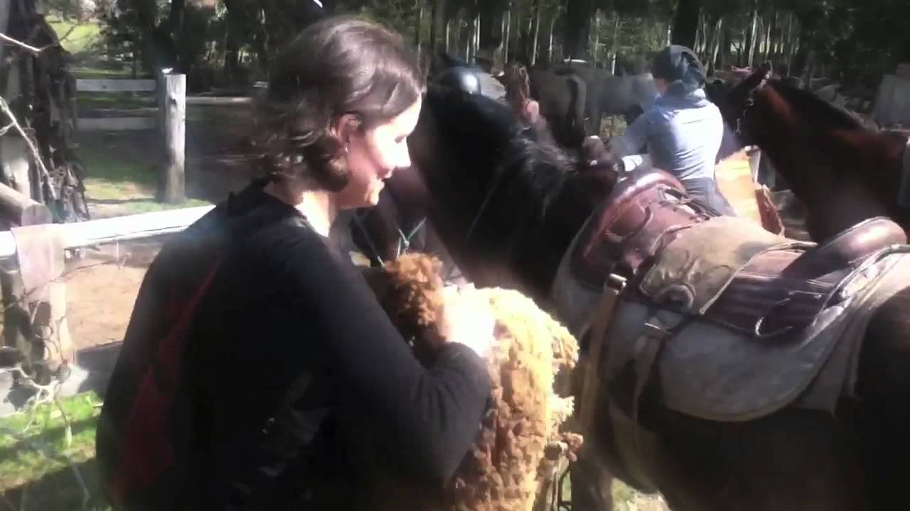 How to saddle a horse gaucho-style - YouTube