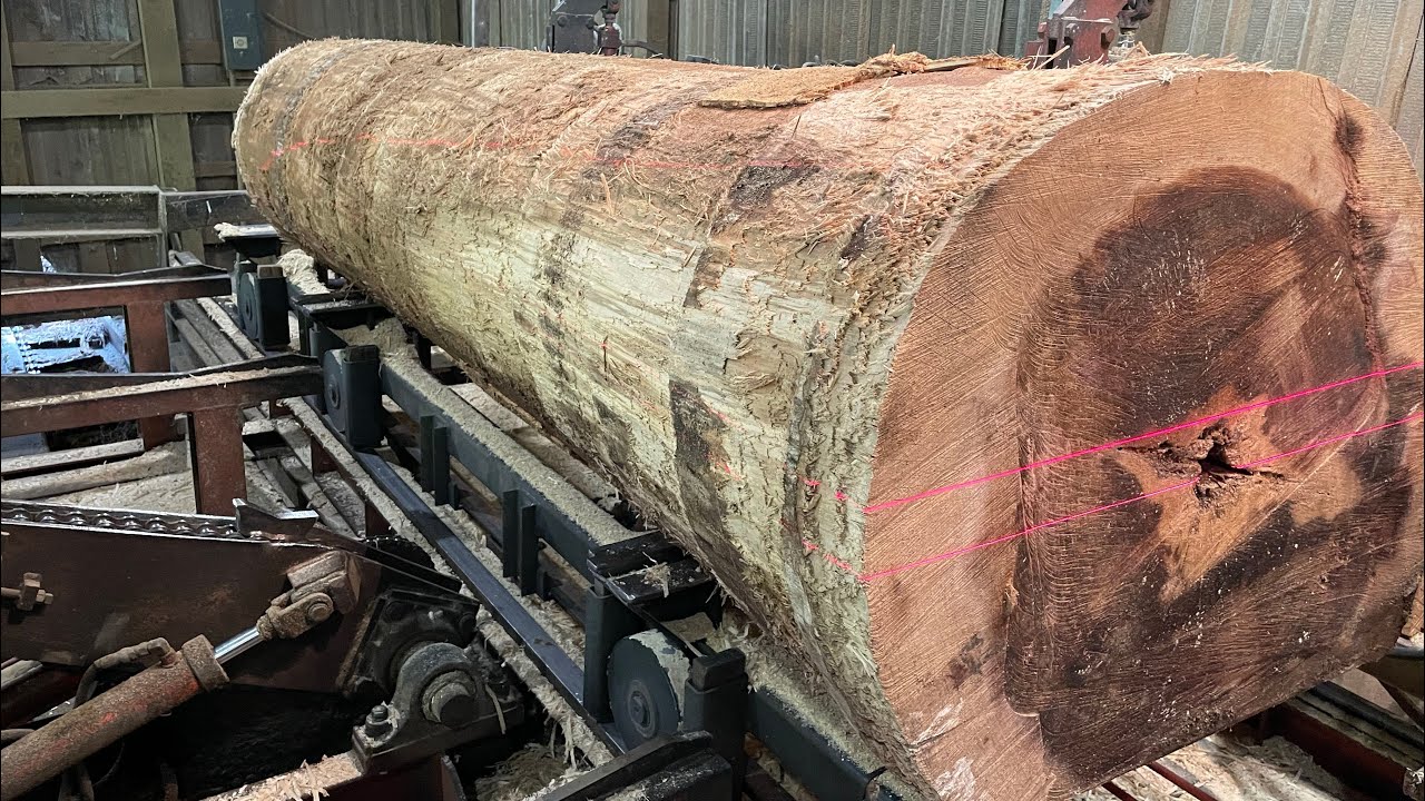 Satisfying Saw-Mill Tune of a 29 Inch Poplar Log! #85 - YouTube