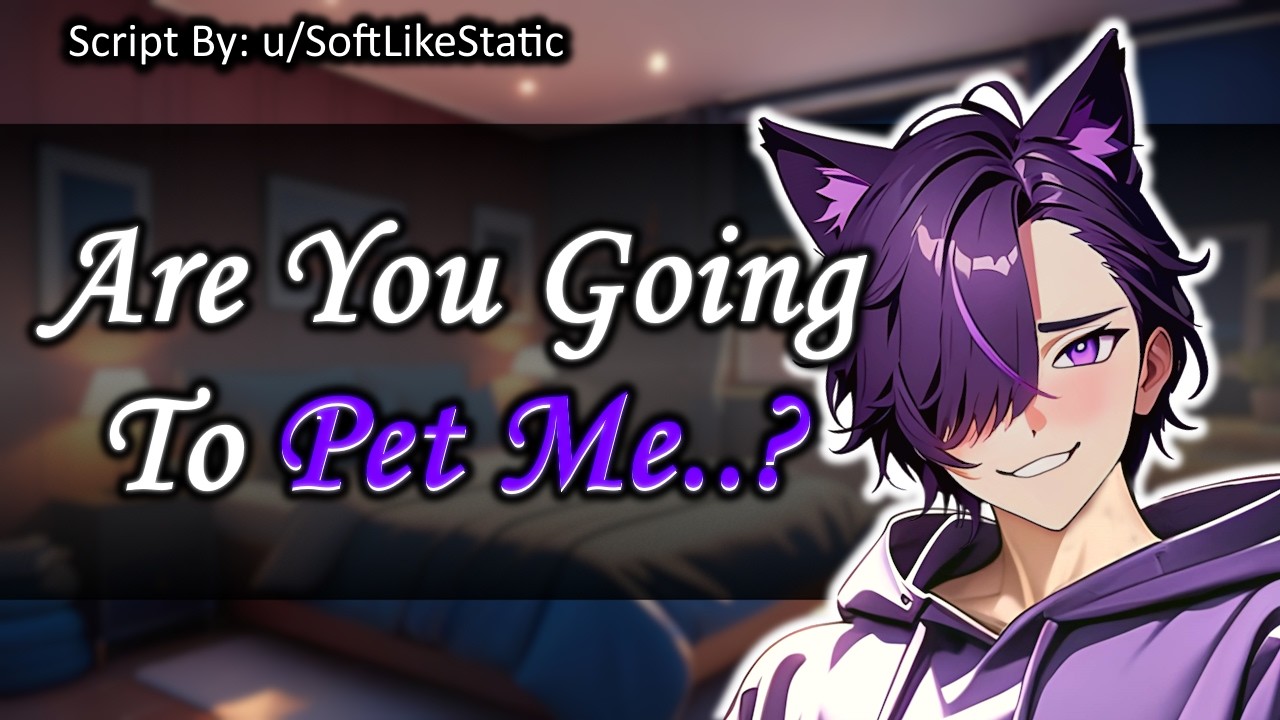 Your Needy Catboy Neighbour Needs You To Pet Them || M4A | Boyfriend ...