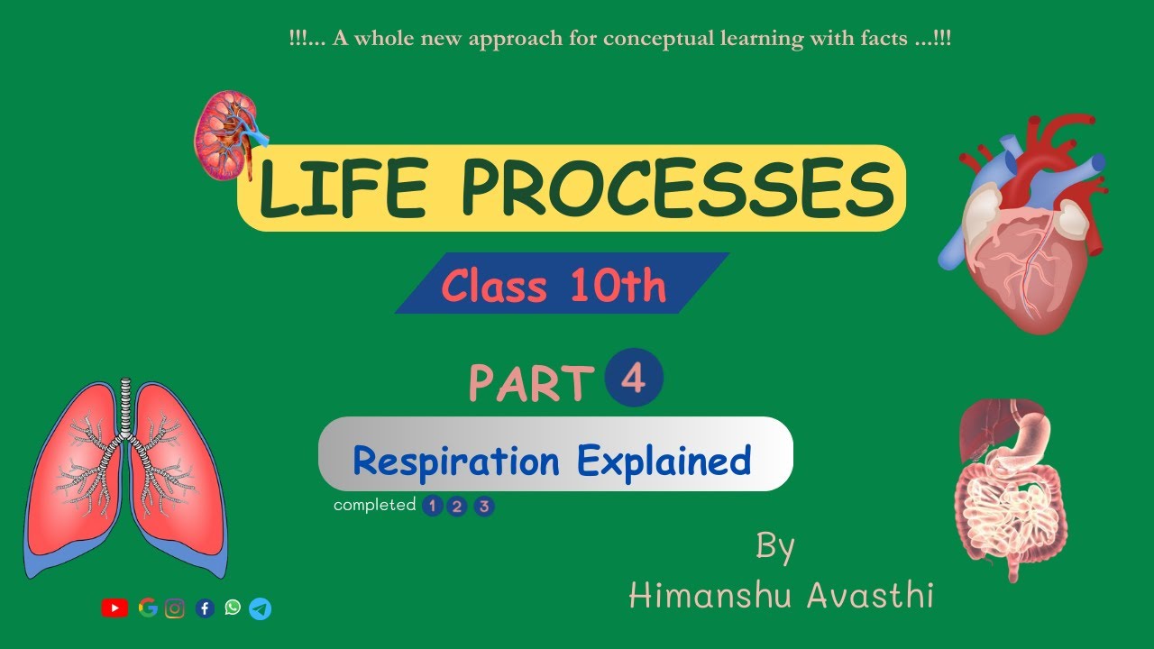 04 | Life Processes | Respiration - Aerobic & Anaerobic | Class 10th ...