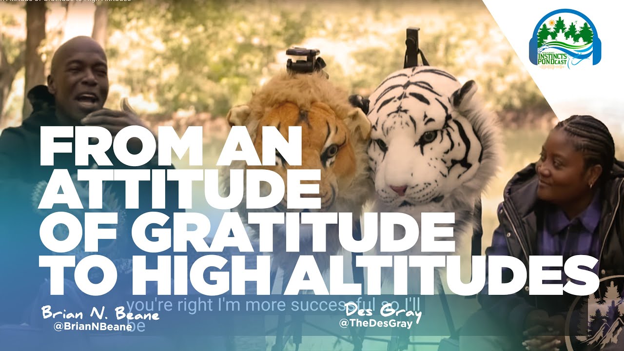 From An Attitude of Gratitude to High Altitudes - YouTube Music