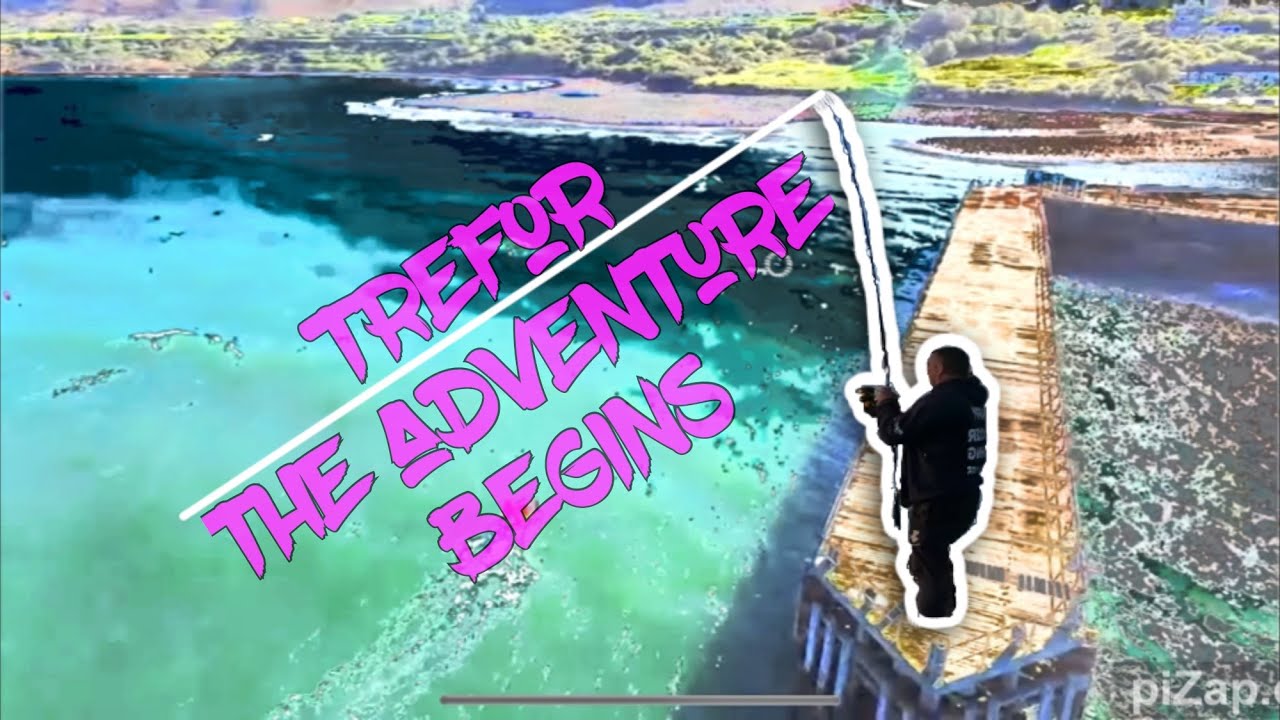 Is this fish the one . The Trefor adventure first day , uk sea fishing ...