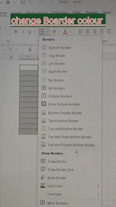 How to Change Border Color in Excel: Quick & Easy Guide#excel - YouTube