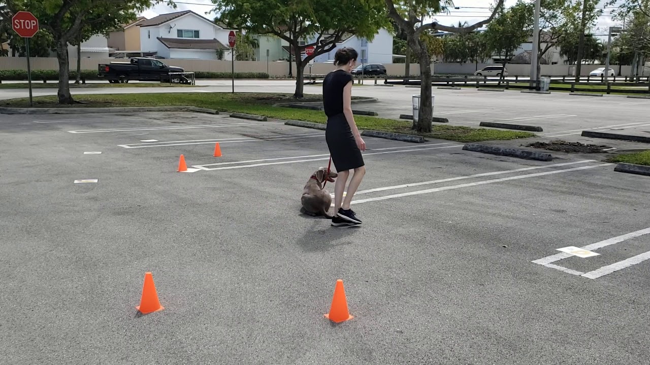 Rally novice course #1 - YouTube