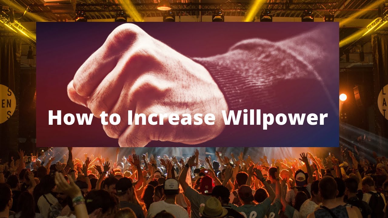 How to Increase Willpower - YouTube