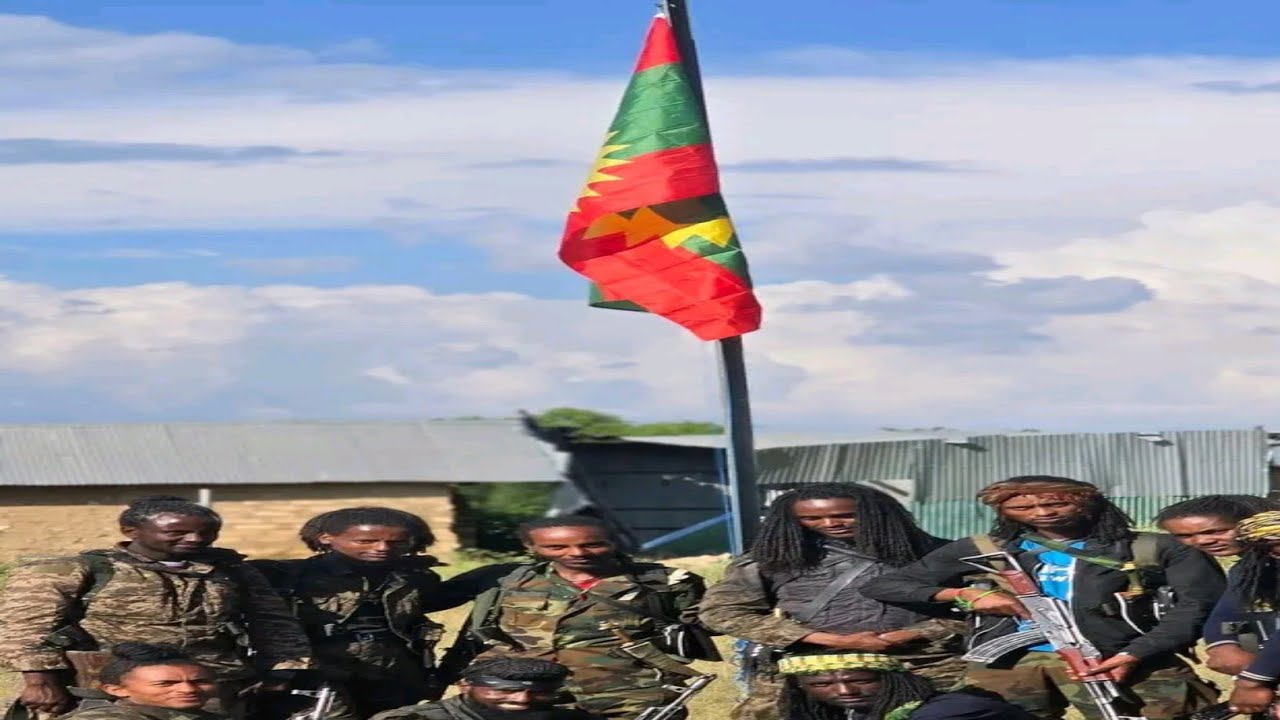 WBO'n kampii Waraana pp Barbadeesse loltoota pp Heddu Boji'e jira ...