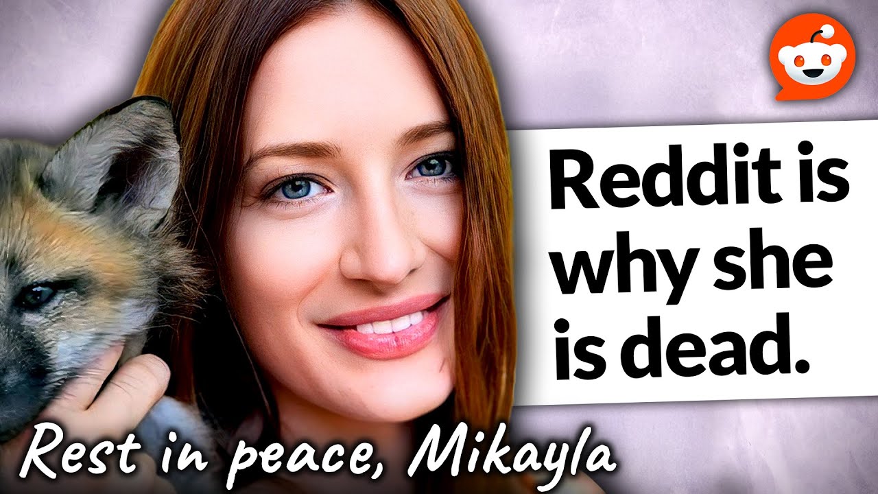 The Redditors Blamed for the Death of YouTube's Most Wholesome Creator (The SaveAFox Tragedy ...