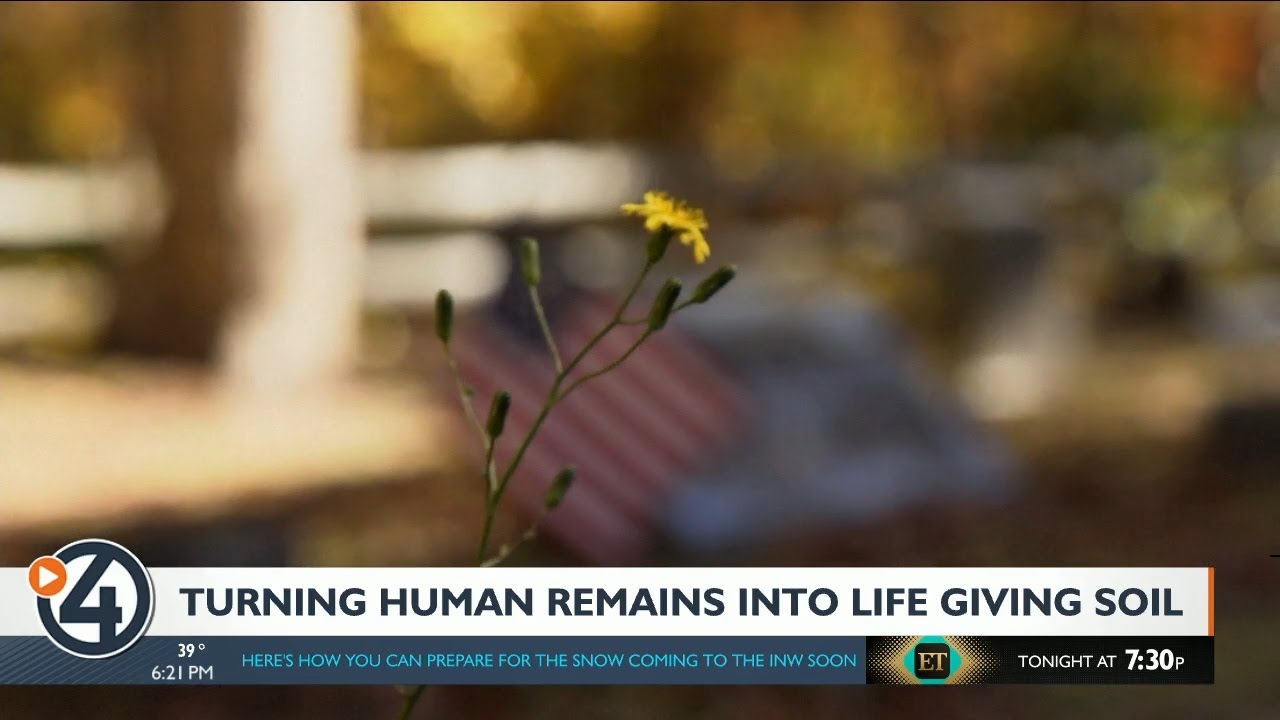 Human Composting: Turning human remains into life-giving soil - YouTube