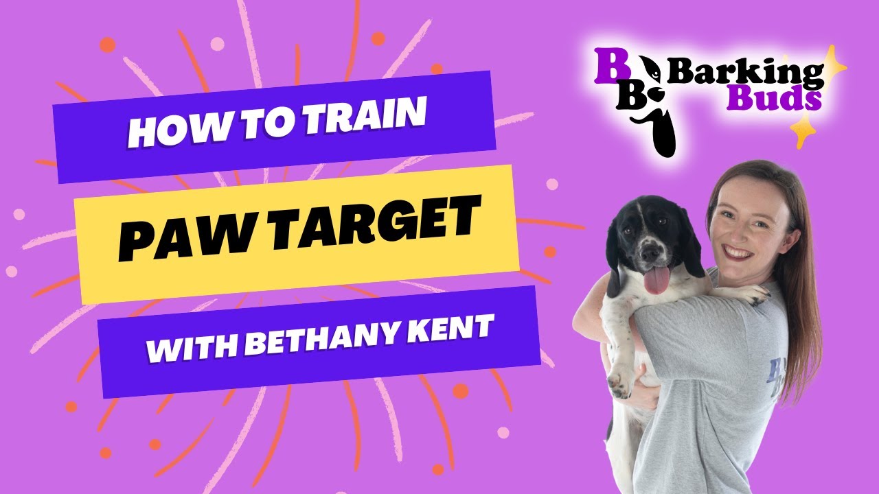 Paw Target - YouTube