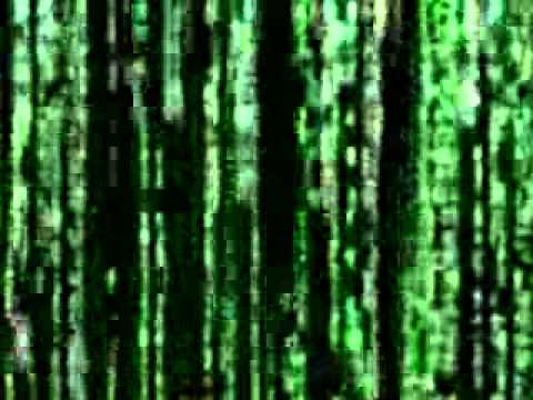 MATRIX.mp4 - YouTube