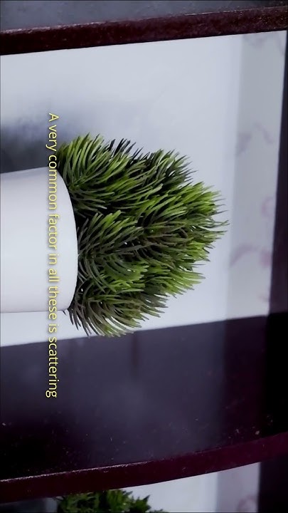 Your First Procedural Model | Blender Geometry Node | Beginner Tutorial ...