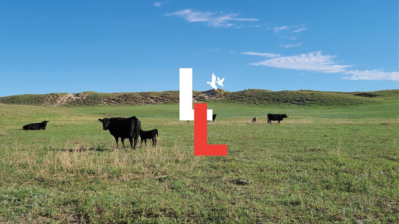SOLD! Nebraska Ranch For Sale | Logan McPherson County Line Ranch ...