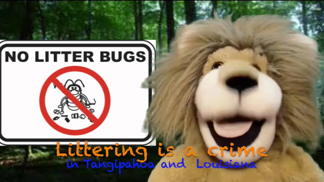 Kids Don't Be A Litter Bug - YouTube