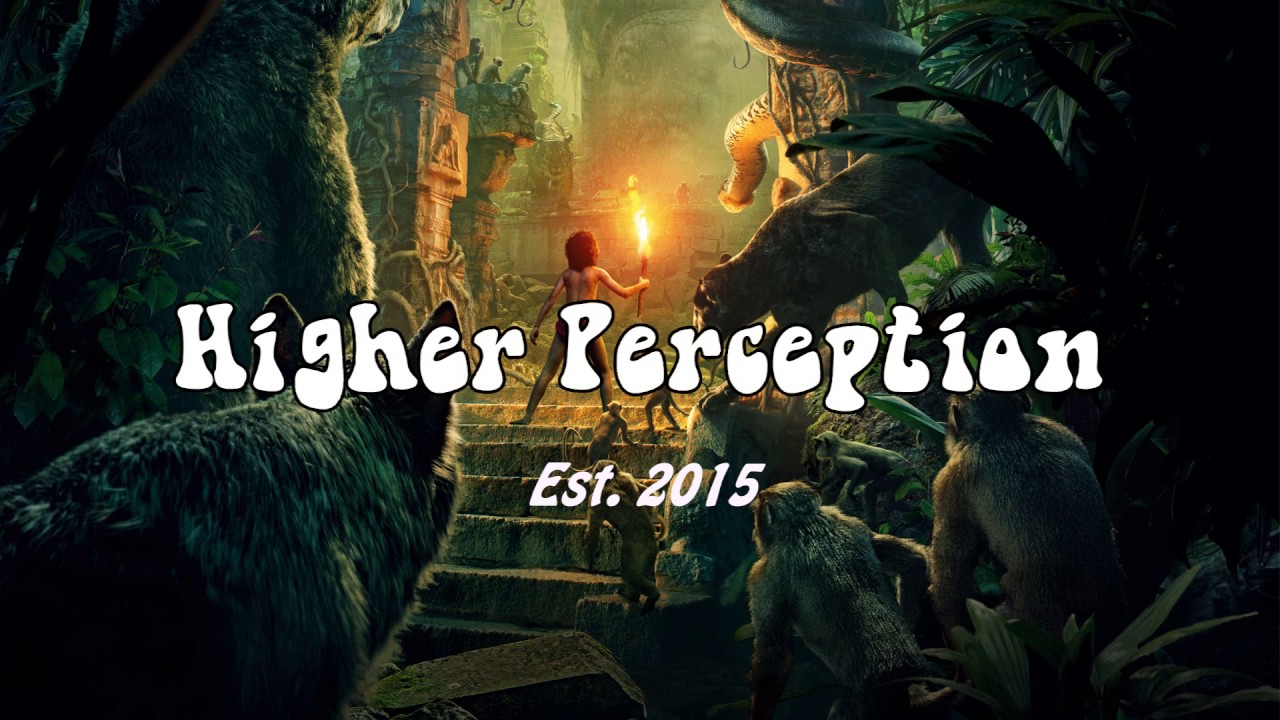 Gareth Monks - Stay In The Jungle - YouTube