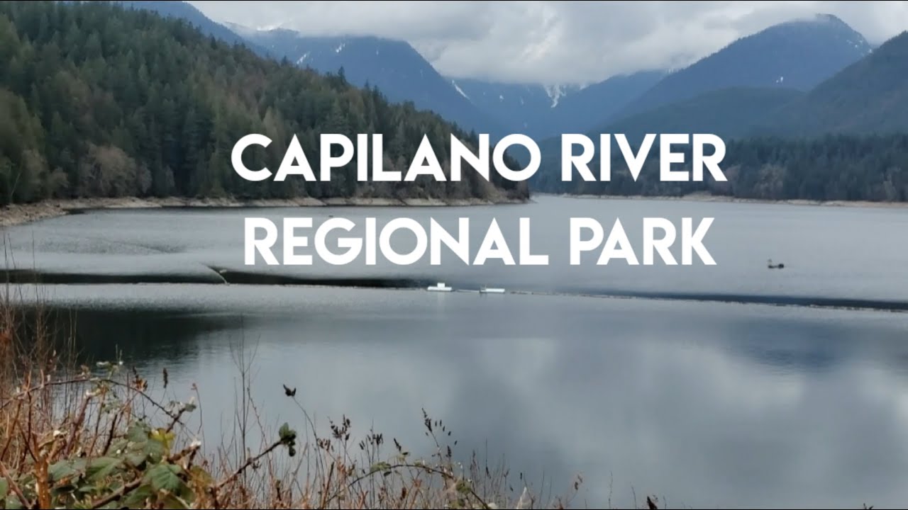 Hiking At CLeveland Dam & Capilano River Regional Park | North ...