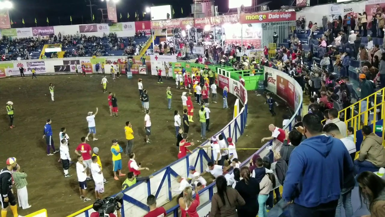 Bull Double Flips Man Over Wall In Costa Rica! - YouTube