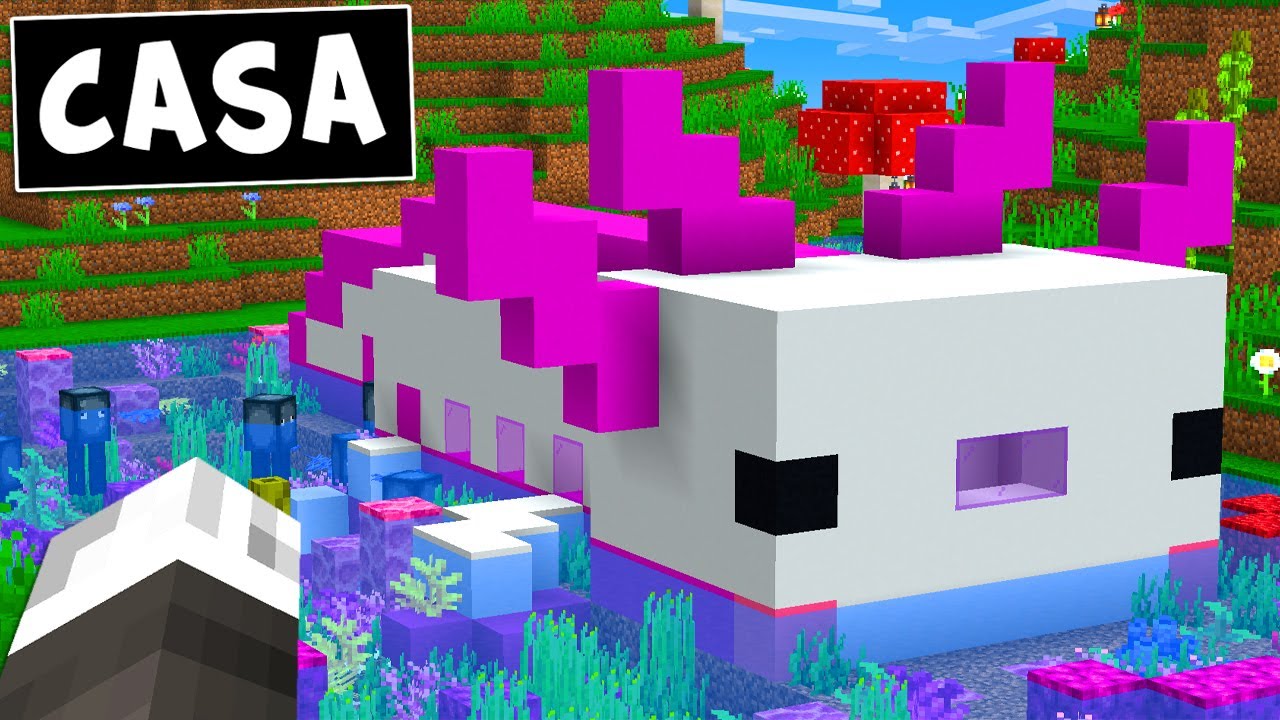 LA NUOVA CASA DELL' AXOLOTL SU MINECRAFT - YouTube