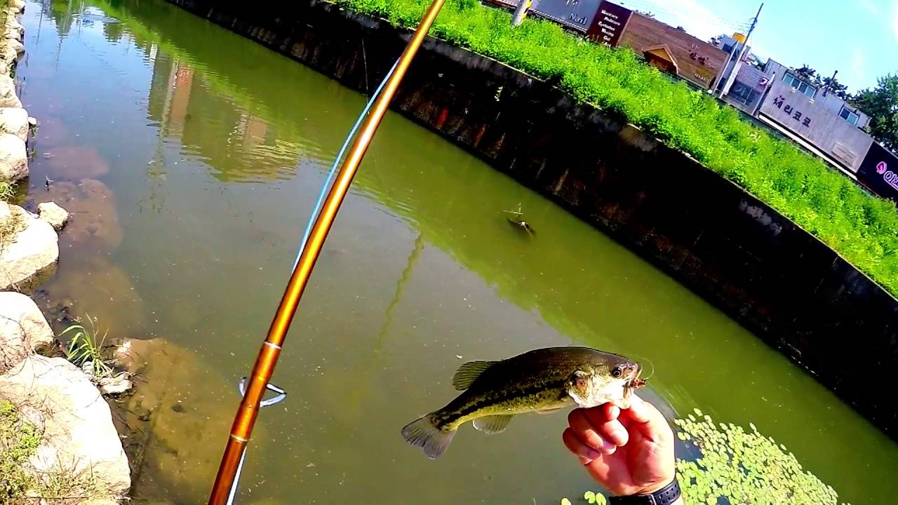 Gunsan City Fly Fishing - YouTube